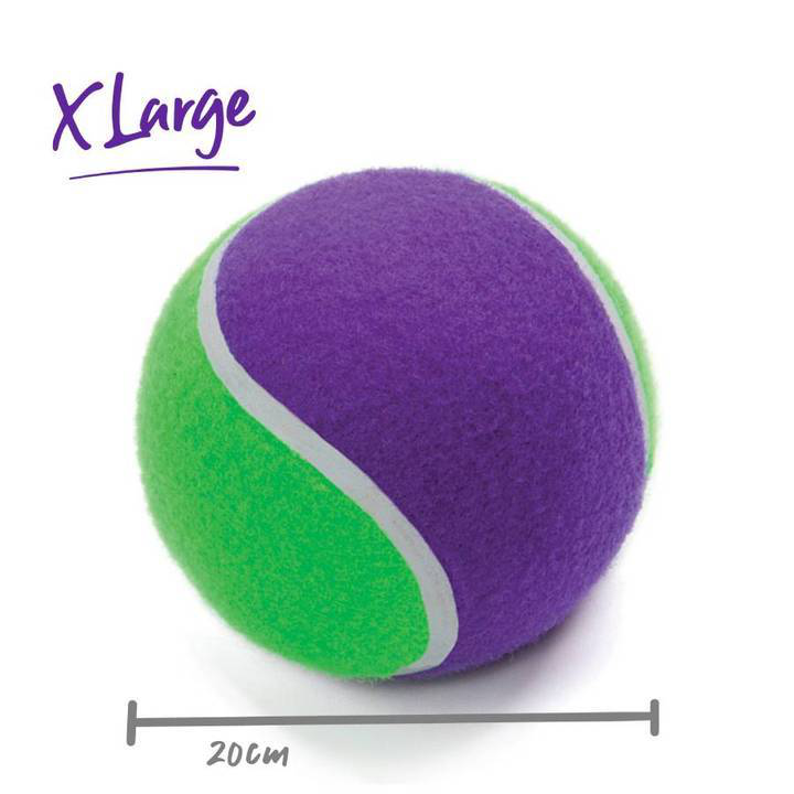 Kazoo Sponge Ball Xl | PETQuarters